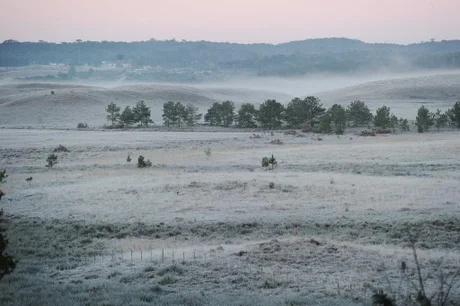 Fim de semana gelado no RS: geada atinge mais de 400 cidades, incluindo ...